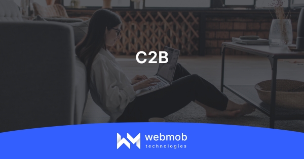 Custom Web Platform for ERP & IT Professionals | C2B Job Portal